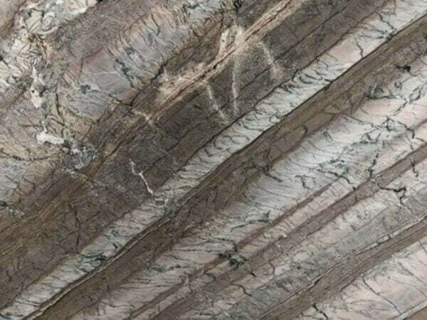 Corteccia Quartzite | Solid Stone Worktops Ltd